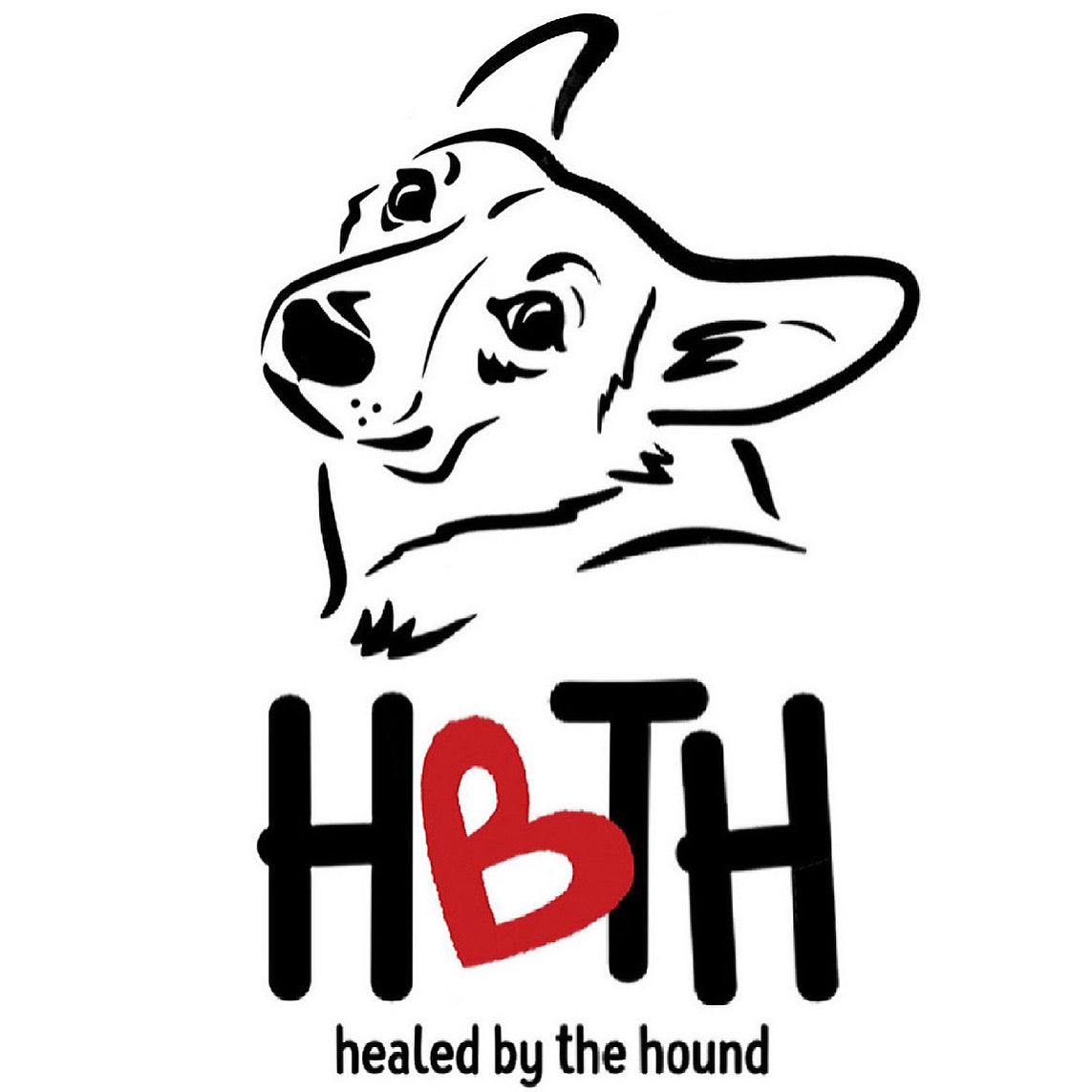 Etsy Fee Increase and What it Means for HBTH – Healed by the Hound